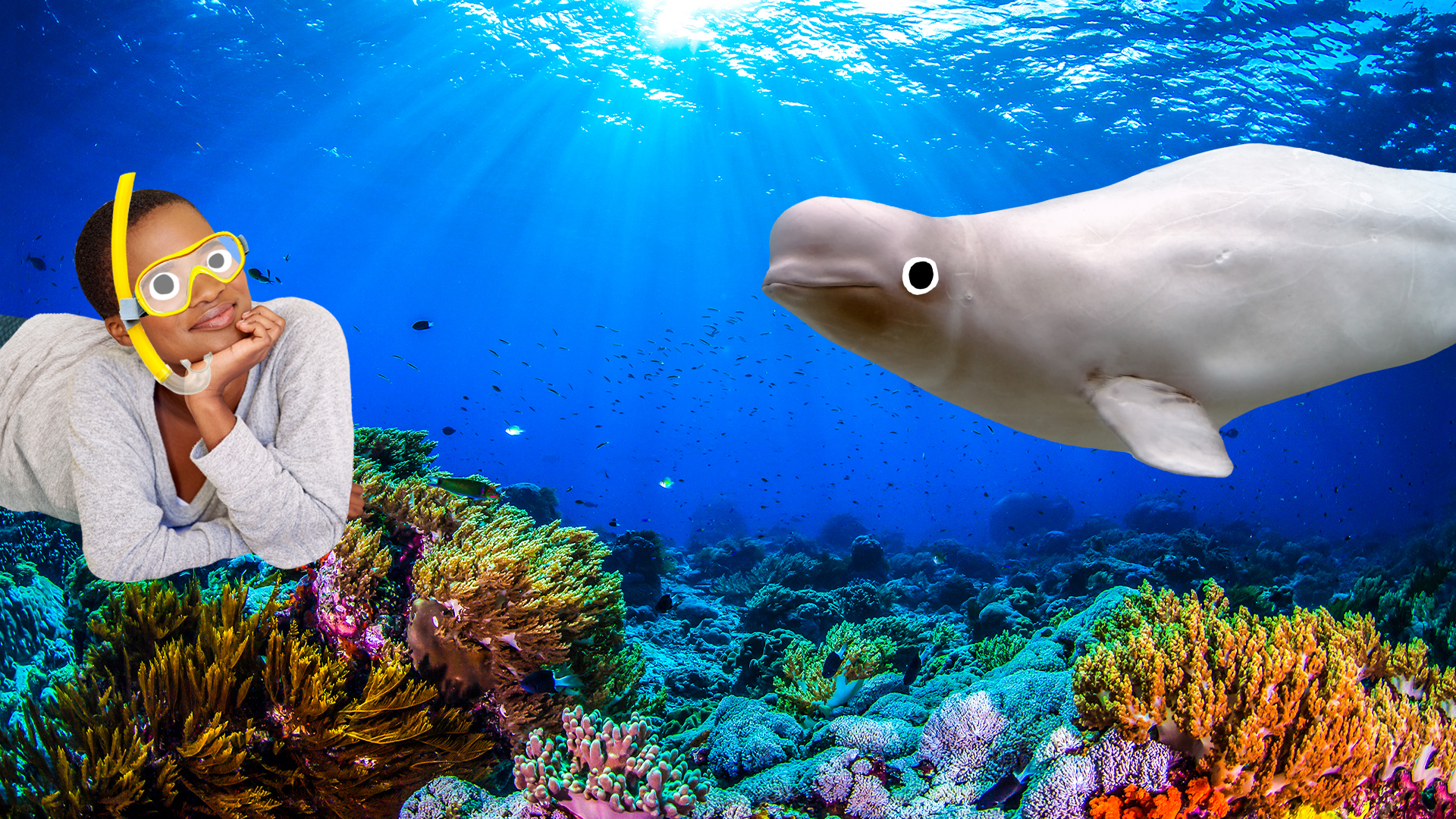 Under the Sea: 20 Amazing Ocean Facts | Beano