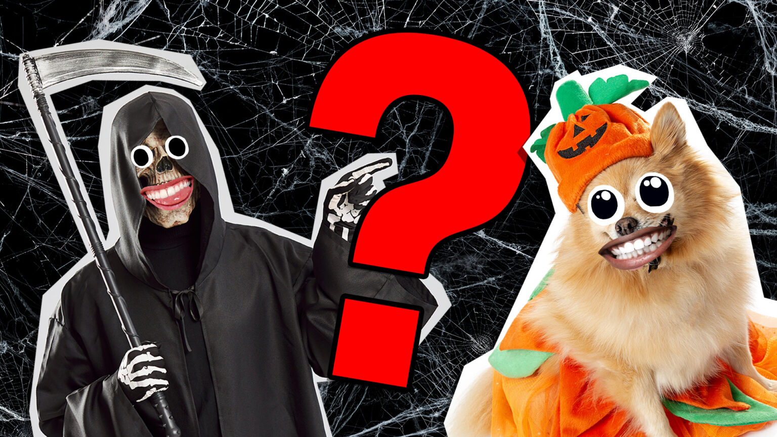 Halloween True or False Quiz | Beano.com