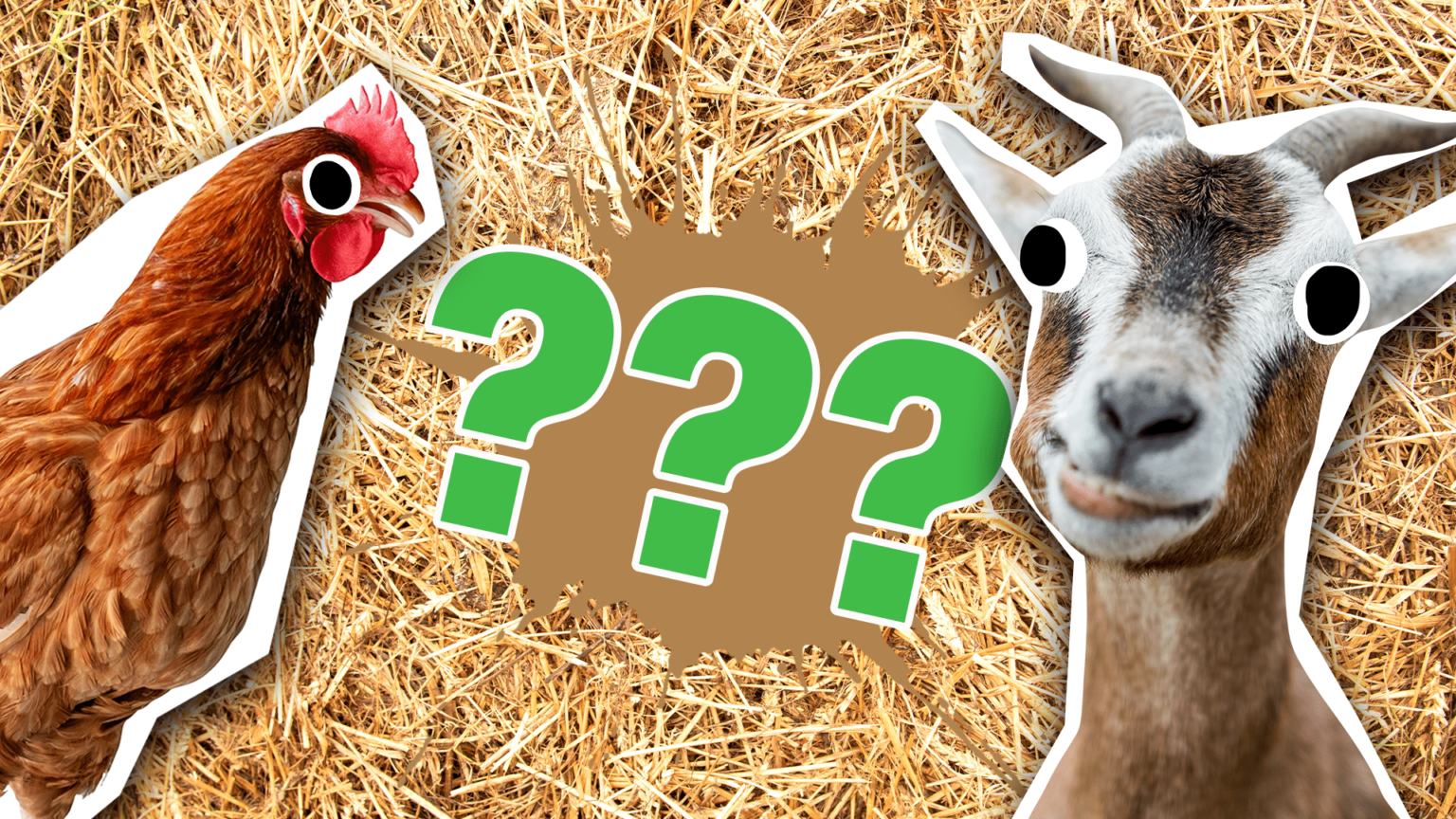 What Farm Animal Am I Quiz | Beano.com